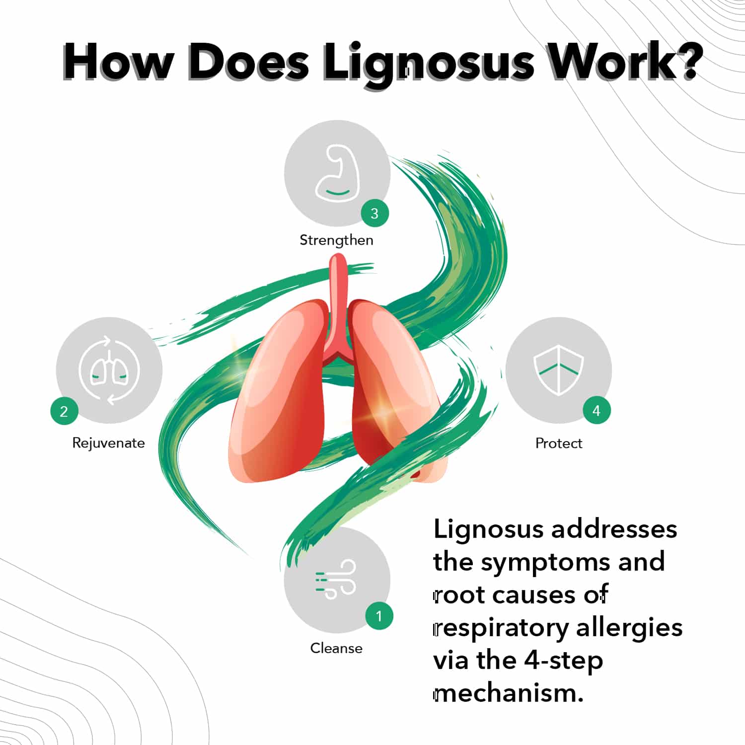 Best Natural Respiratory Health Supplement - Lignosus Canada